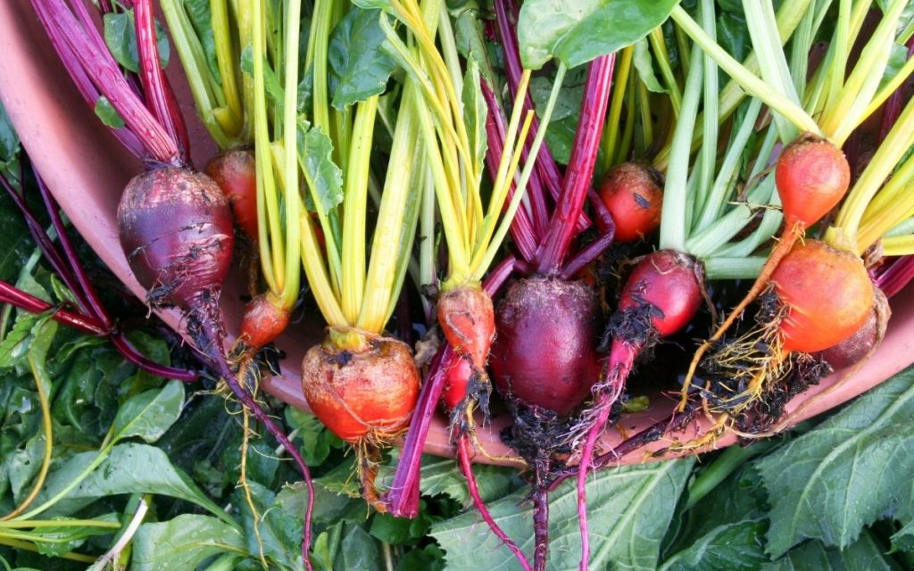 13 Classic Food Pairing Duos - Who Eatz