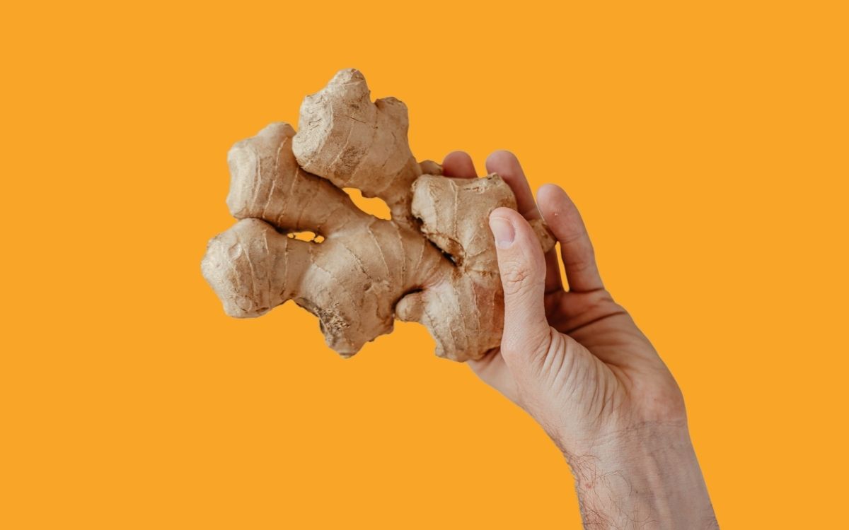 Why Is Ginger Hot? - Who Eatz